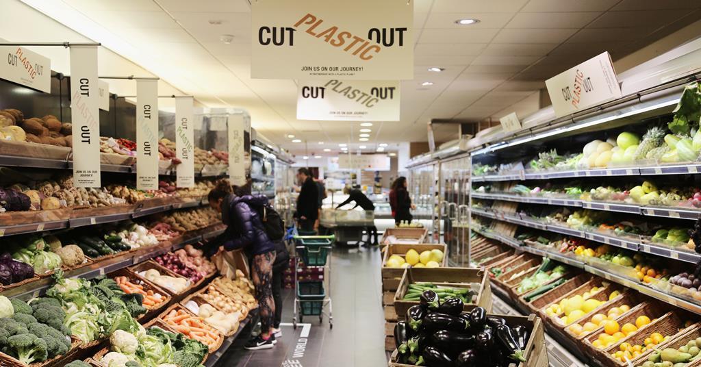 Sustainability: Green shoots of success | Features and analysis ...