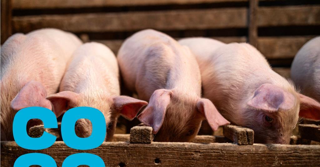 Co-op becomes first convenience retailer to announce a 100% cage-free ...