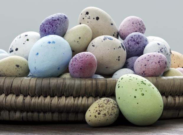 Easter: Spring clean-up | News | Convenience Store