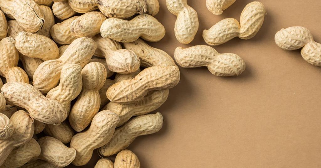FGS Ingredients recalls products containing mustard powder due to ...