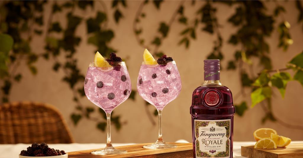 Tanqueray gin expands portfolio with blackcurrant variant and RTD ...
