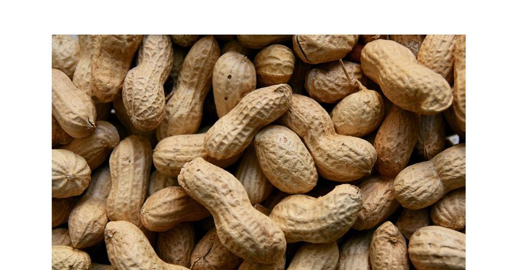 Urgent FSA warning as mustard ingredients contaminated with peanuts ...