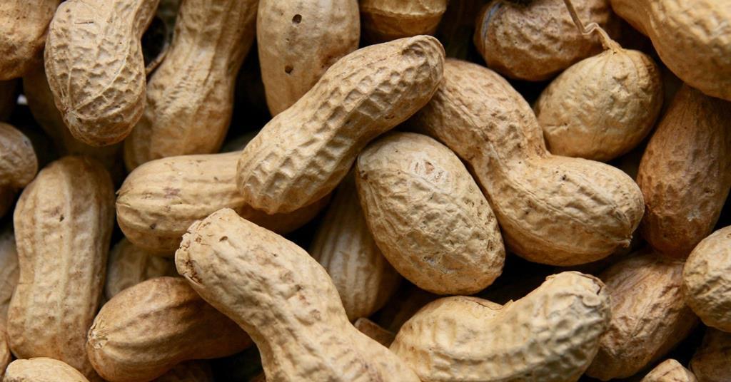 Urgent FSA warning as mustard ingredients contaminated with peanuts ...
