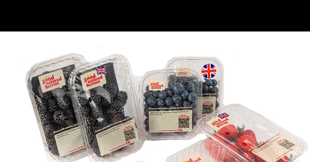 Good Natured Berries have just landed in convenience courtesy of Spar ...
