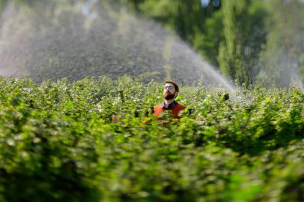 Ribena reveals new £6.2m campaign for drinks range | Product News ...