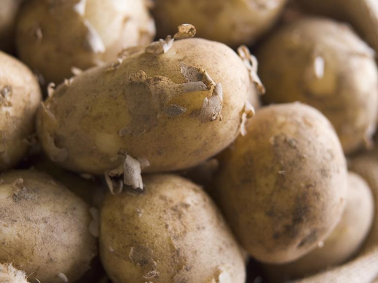Essex potato brand boosted by Co-op listings | Product News ...